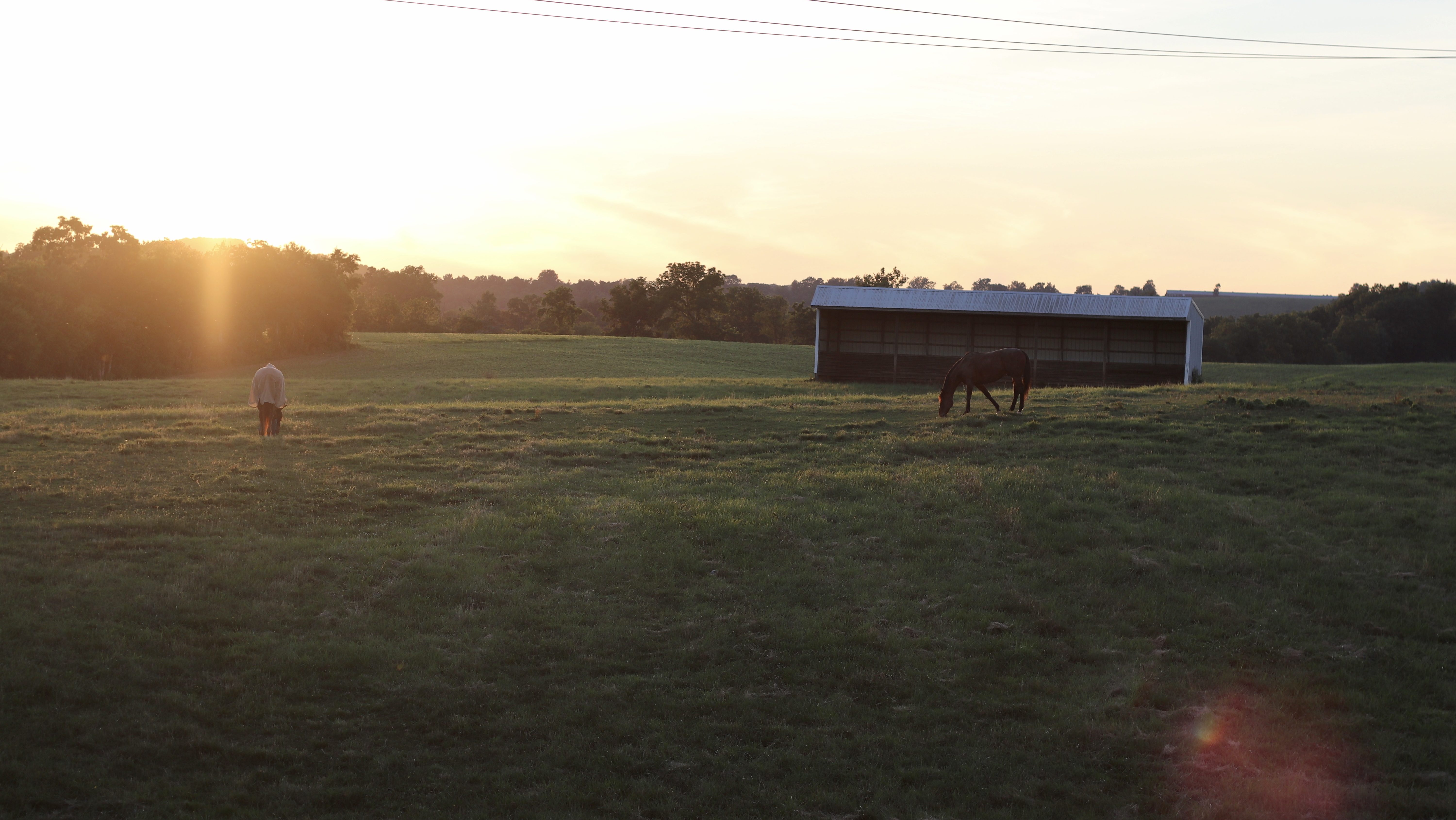 Boarding at Haven Stables